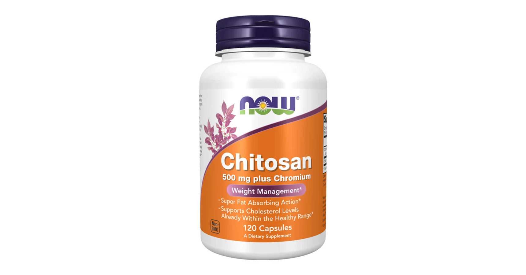 NOW Now Chitosan 500 mg - 120 Veg Capsules - Greenpatika ...
